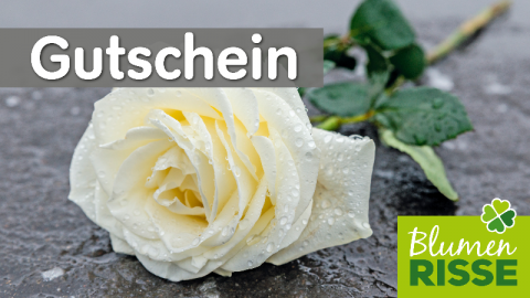 Blumen Risse Mehrzweckgutschein