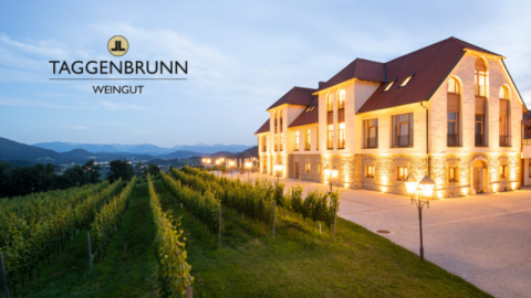 Weingut Burg Taggenbrunn GmbH - Gutscheinshop GENUSSGUTSCHEIN